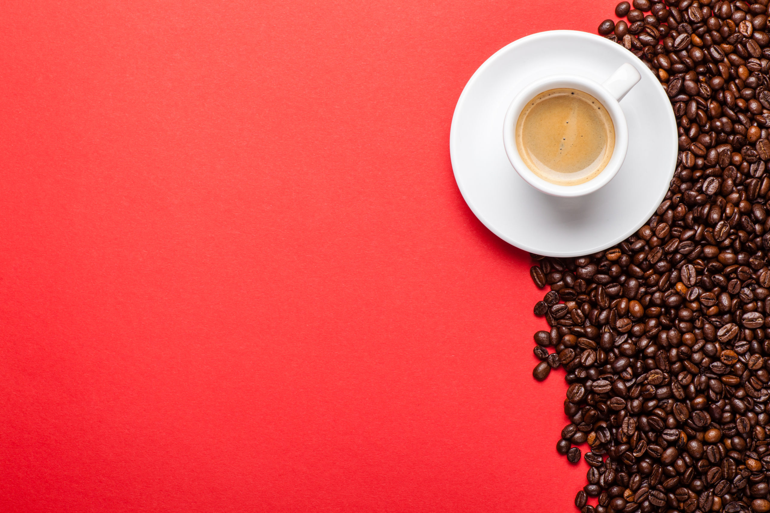 Sofi's Cafe – A cup of coffee brings true happiness.